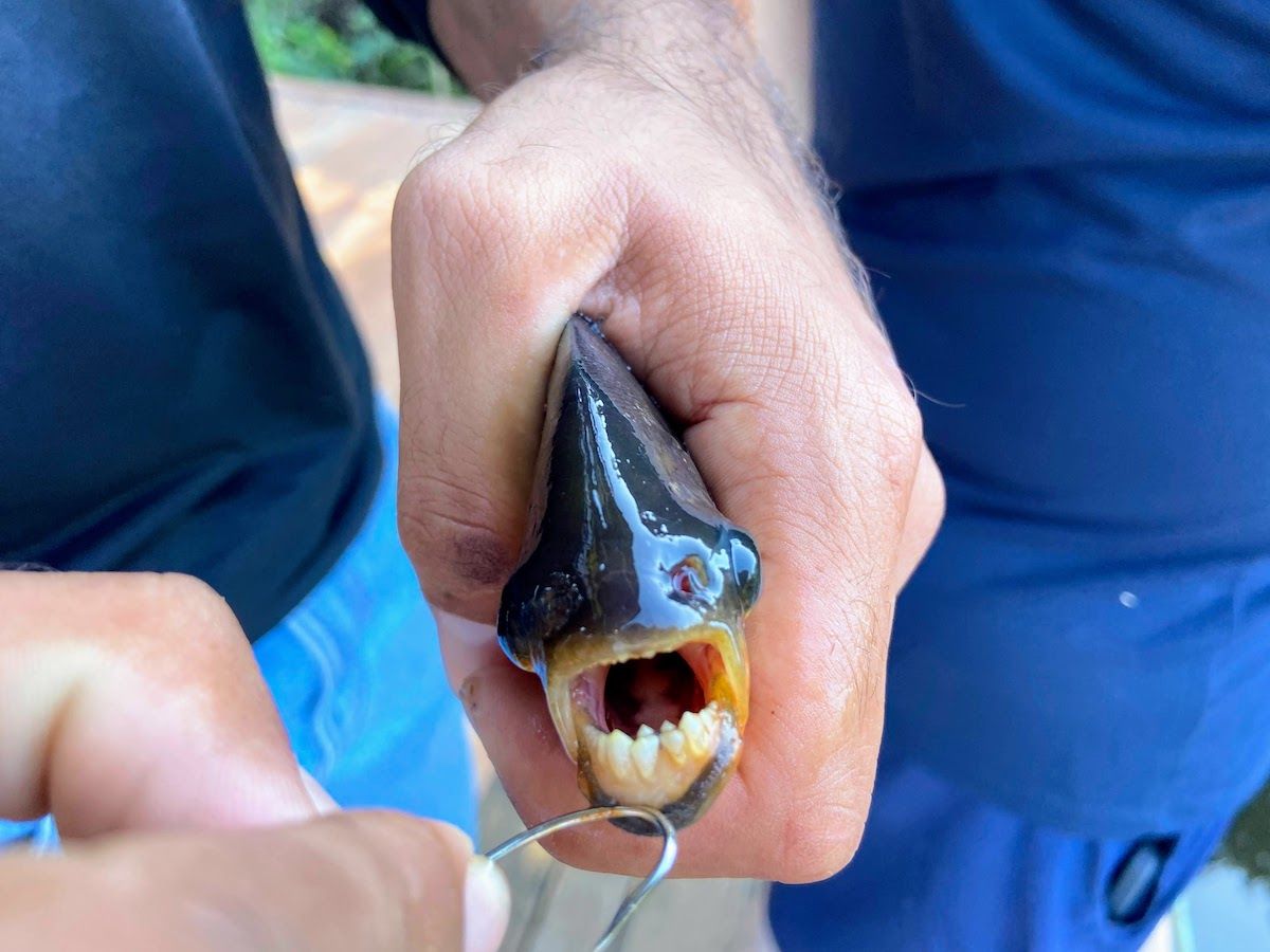 Na ryby do Parku Pantanal